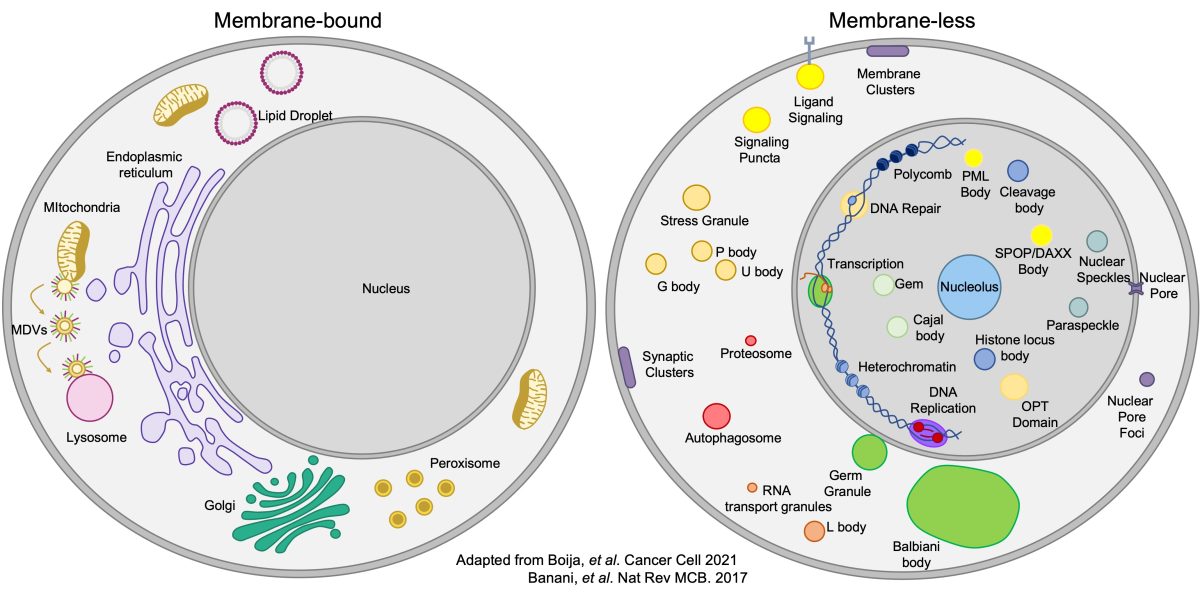 Research – Putnam Lab – UW–Madison