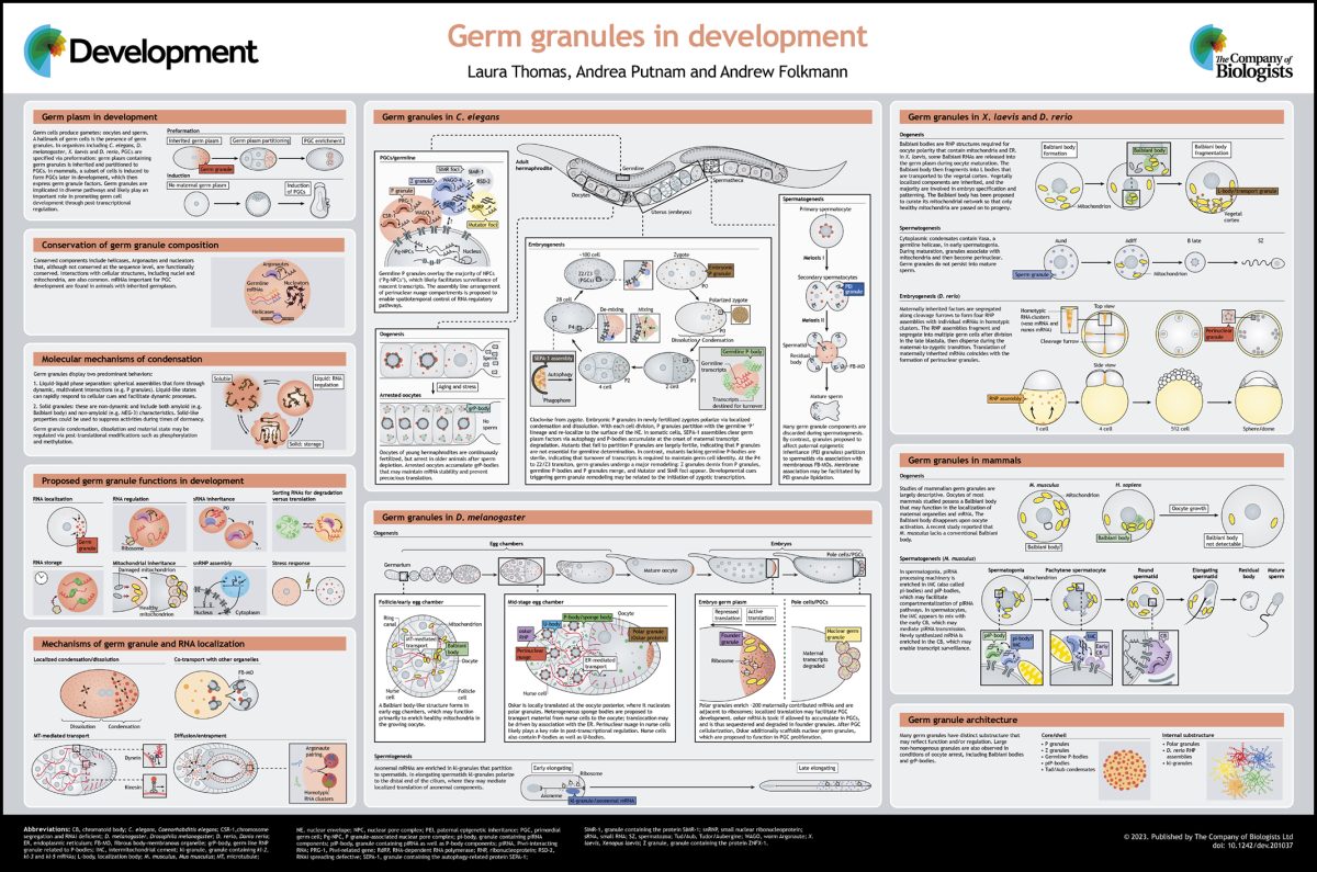 Resources – Putnam Lab – UW–Madison
